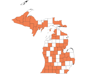 Michigan Public Land Auction | Tax-Sale.info